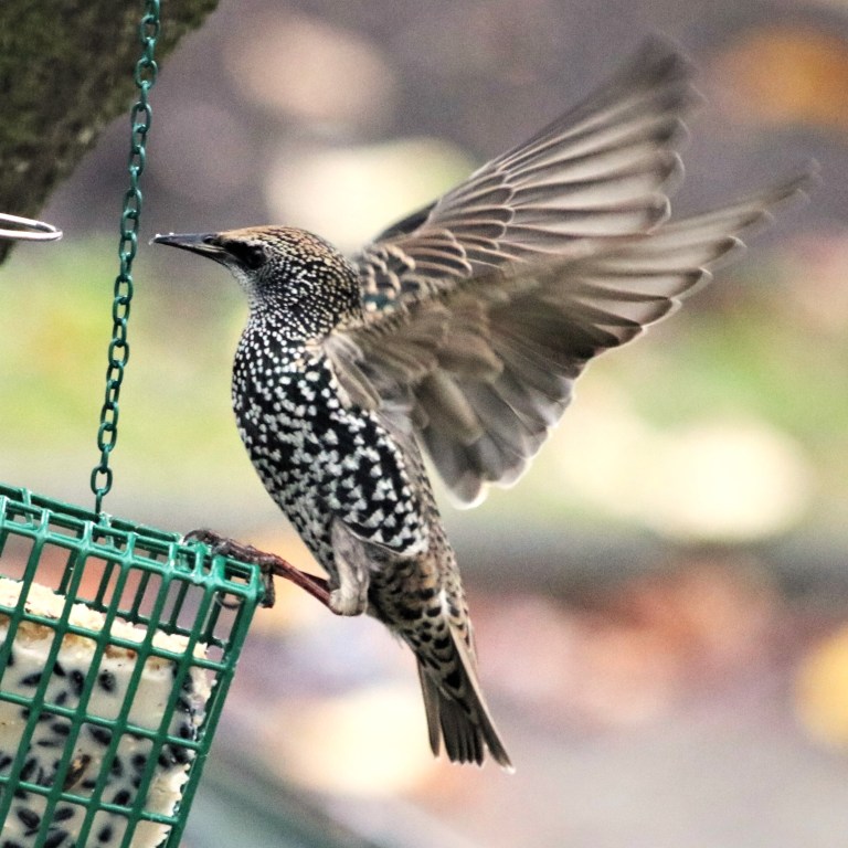 Fabulous adventures in coding | Eric Lippert's blog